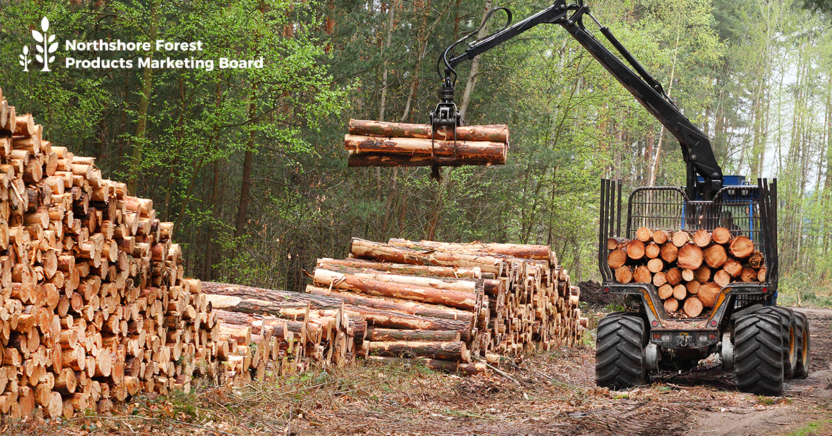 Galerie | Office de Commercialisation des Produits Forestiers du Nord